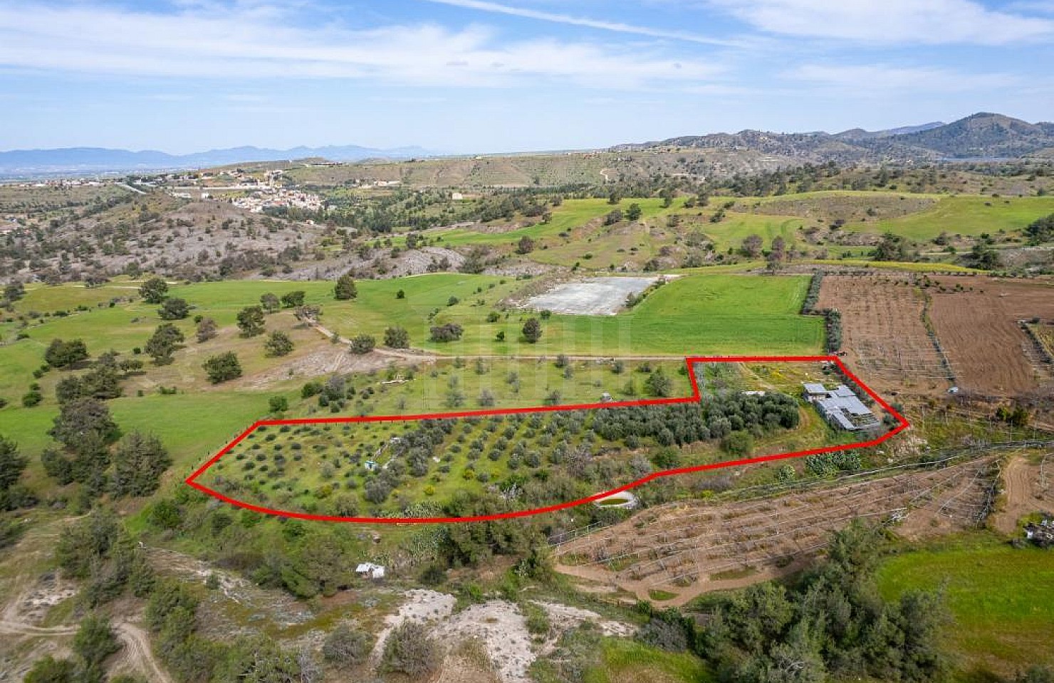 Field in Nikitari, Nicosia | Delfi Properties | Cyprus