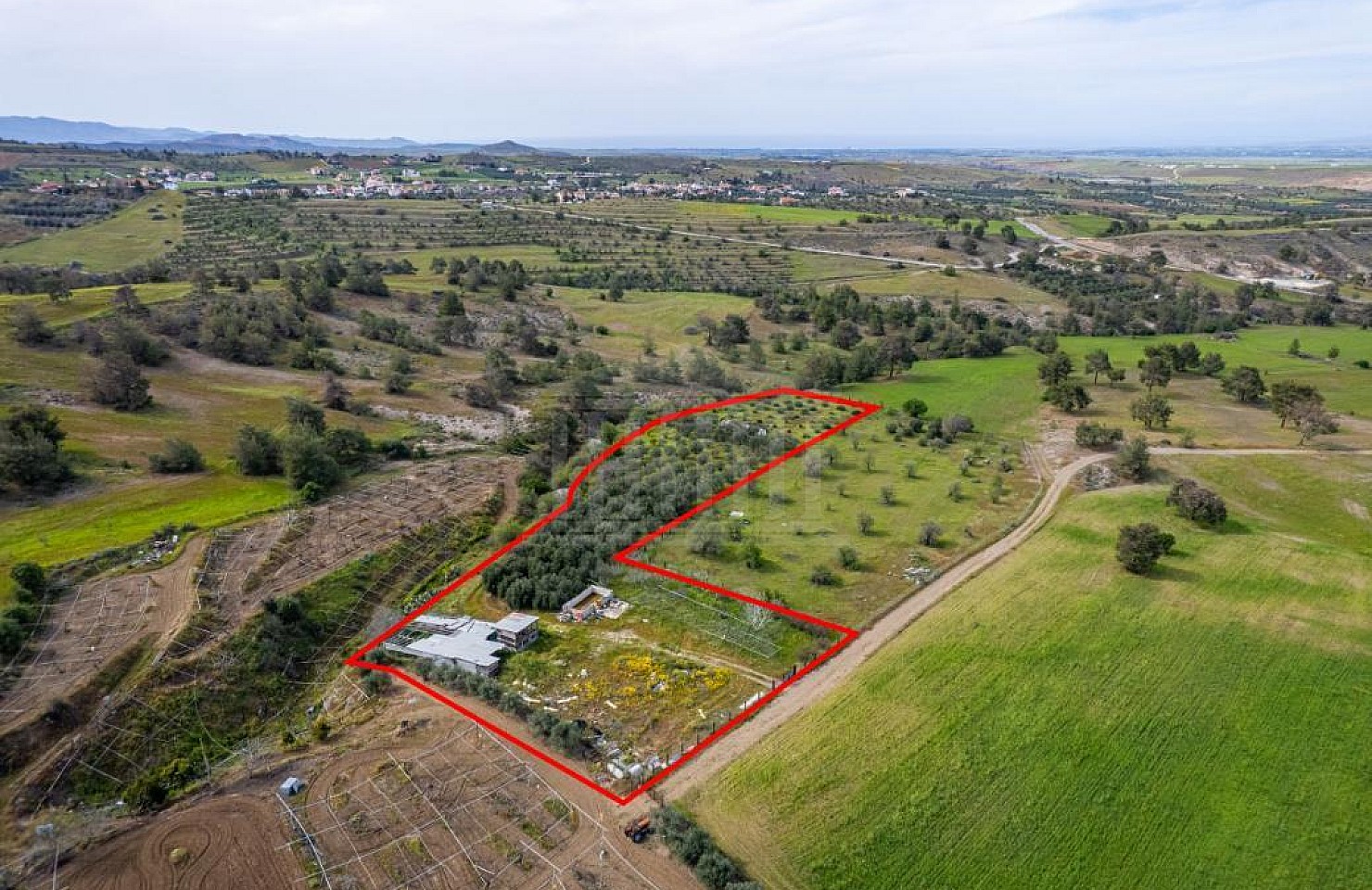 Field in Nikitari, Nicosia | Delfi Properties | Cyprus