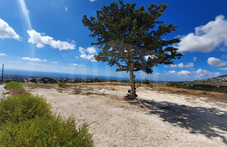 Field in Mesogi, Paphos | Delfi Properties | Cyprus